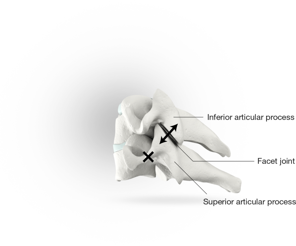 Biomechanical Stability Evidence | Providence